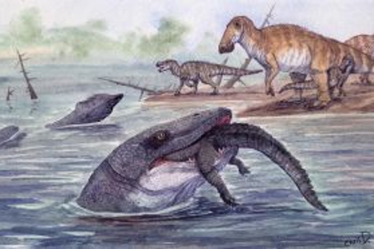 Giant Mosasaur Fossil Suggests Prehistoric River Predator ...